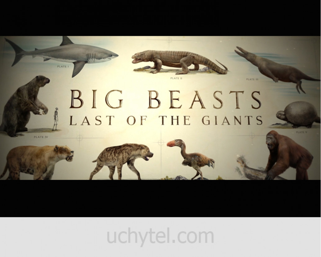 Unveiling Extinct Giants: paleoartist Roman Uchytel's Reconstructions in the mini-series Big ...